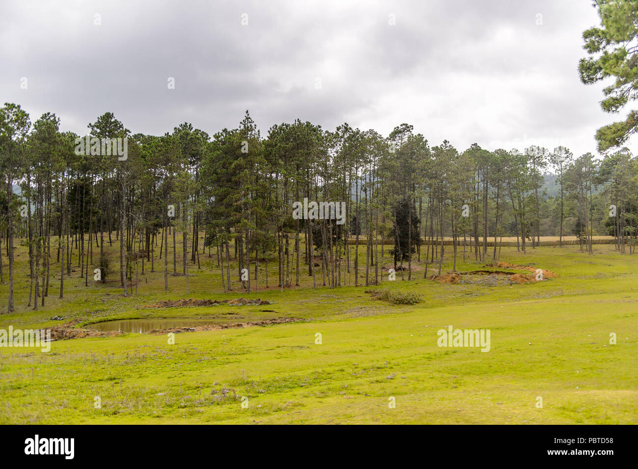 Nature of the state Chiapas, Mexico Stock Photo - Alamy
