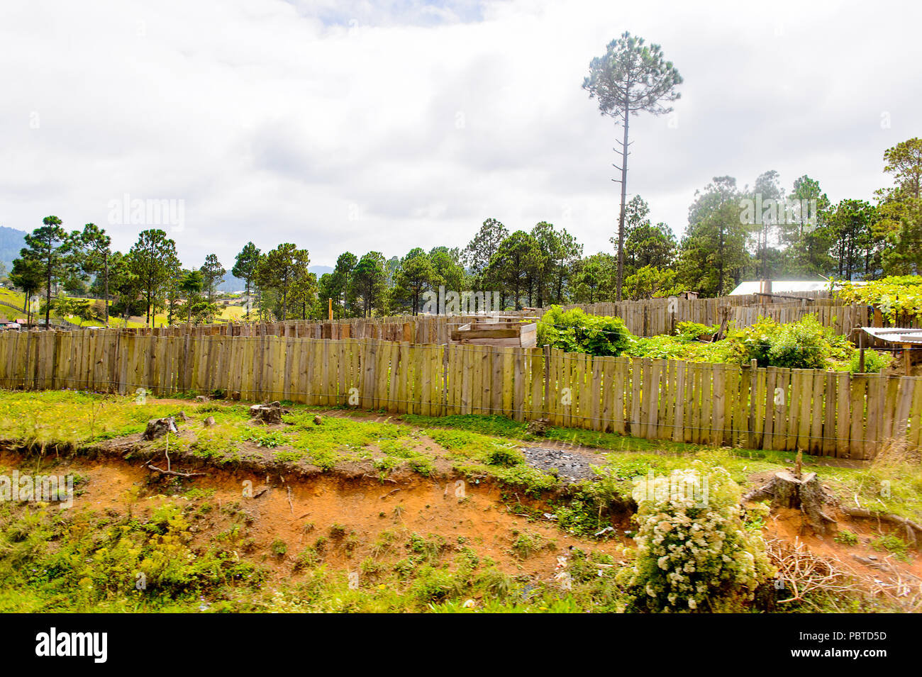 Nature of the state Chiapas, Mexico Stock Photo - Alamy