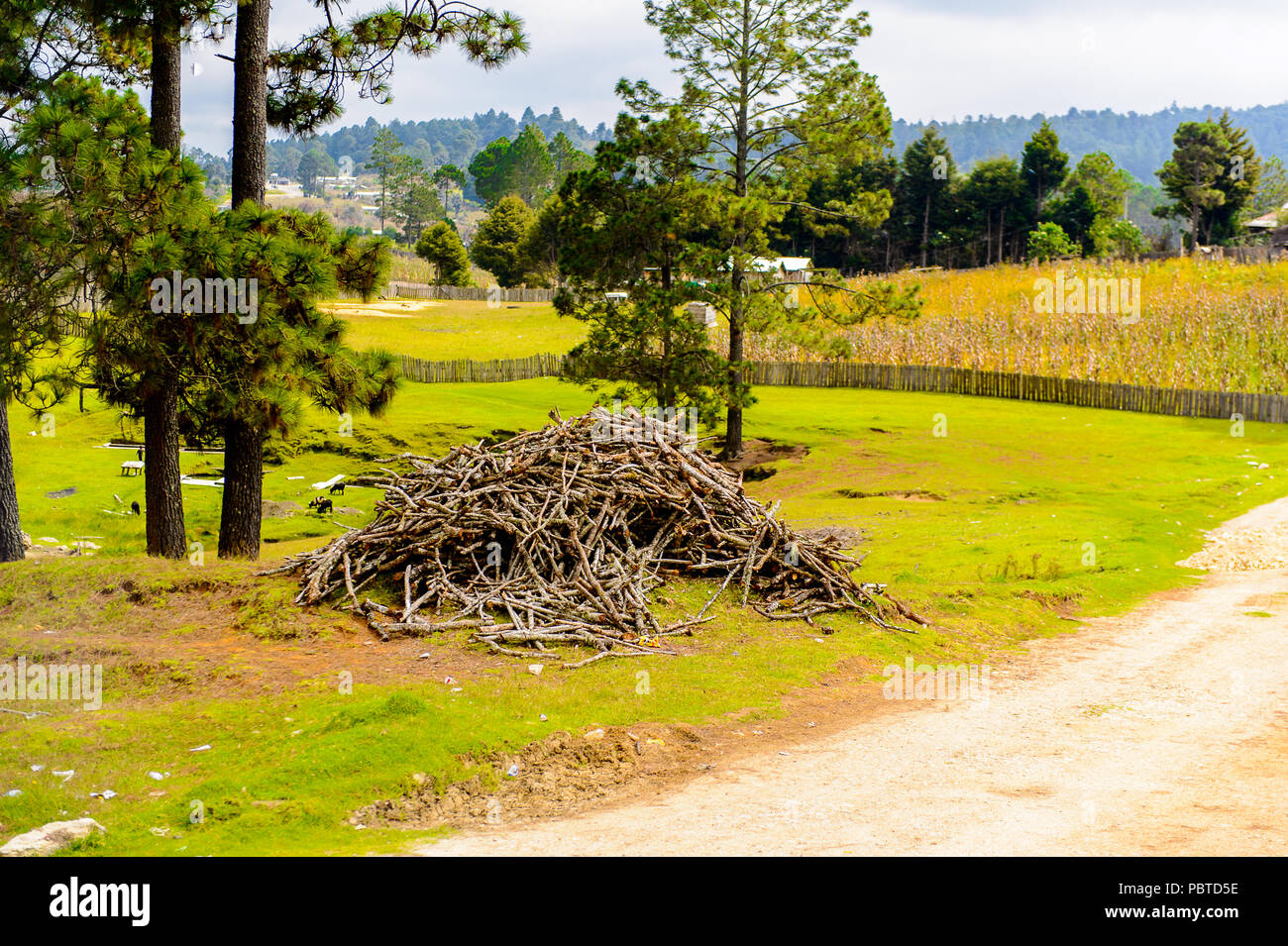 Nature of the state Chiapas, Mexico Stock Photo - Alamy