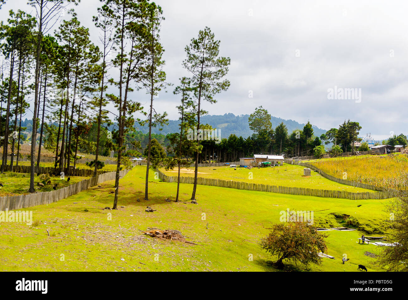 Nature of the state Chiapas, Mexico Stock Photo - Alamy