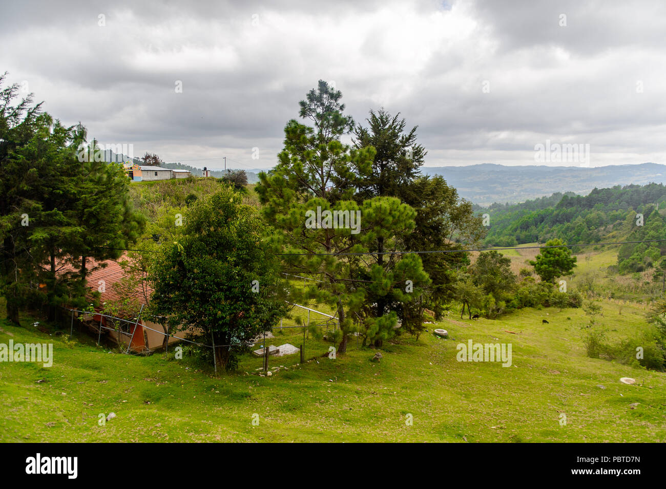 Nature of the state Chiapas, Mexico Stock Photo - Alamy