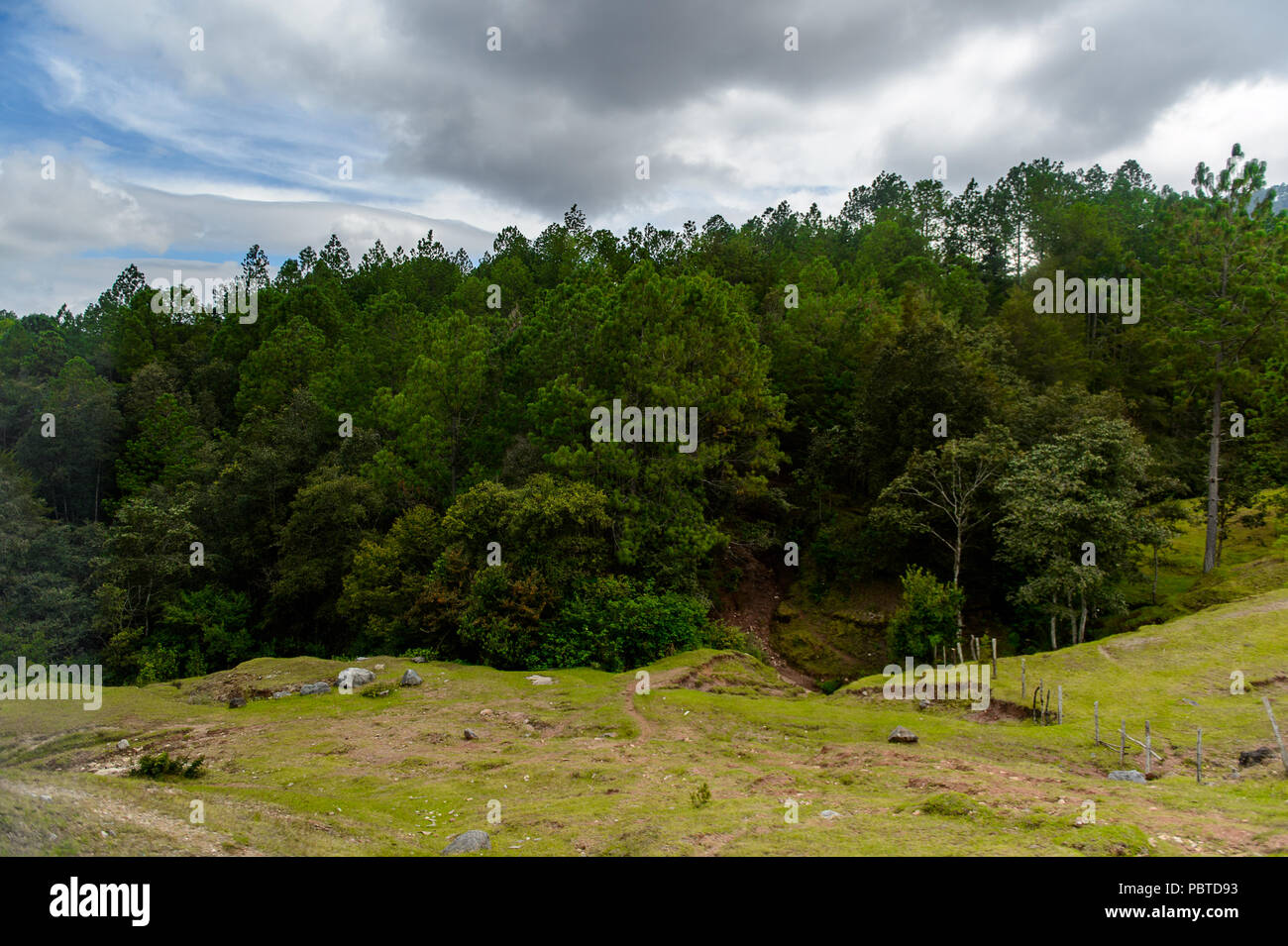 Nature of the state Chiapas, Mexico Stock Photo - Alamy
