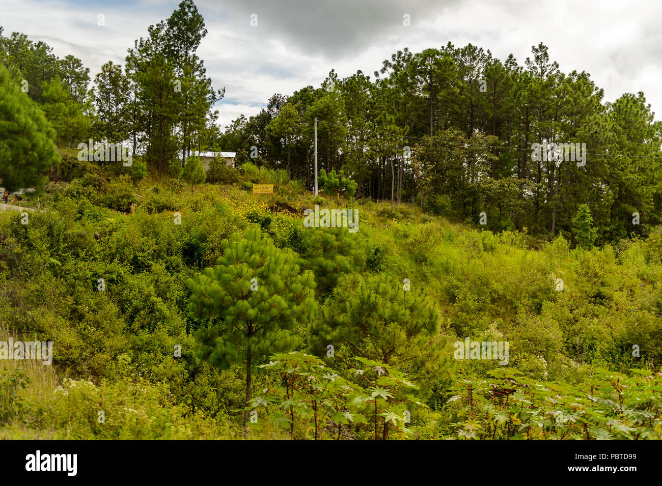 Nature of the state Chiapas, Mexico Stock Photo - Alamy