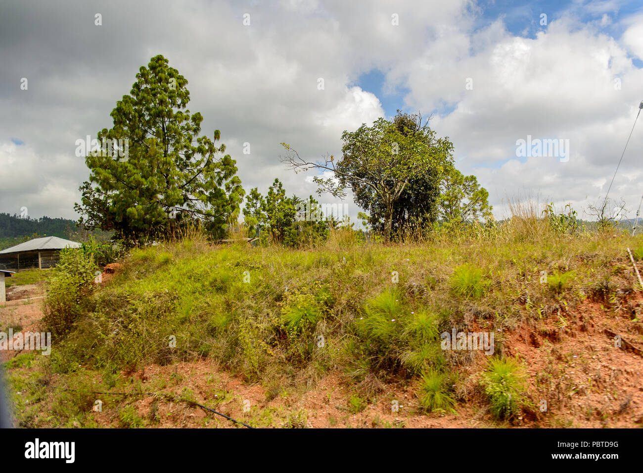 Nature of the state Chiapas, Mexico Stock Photo - Alamy