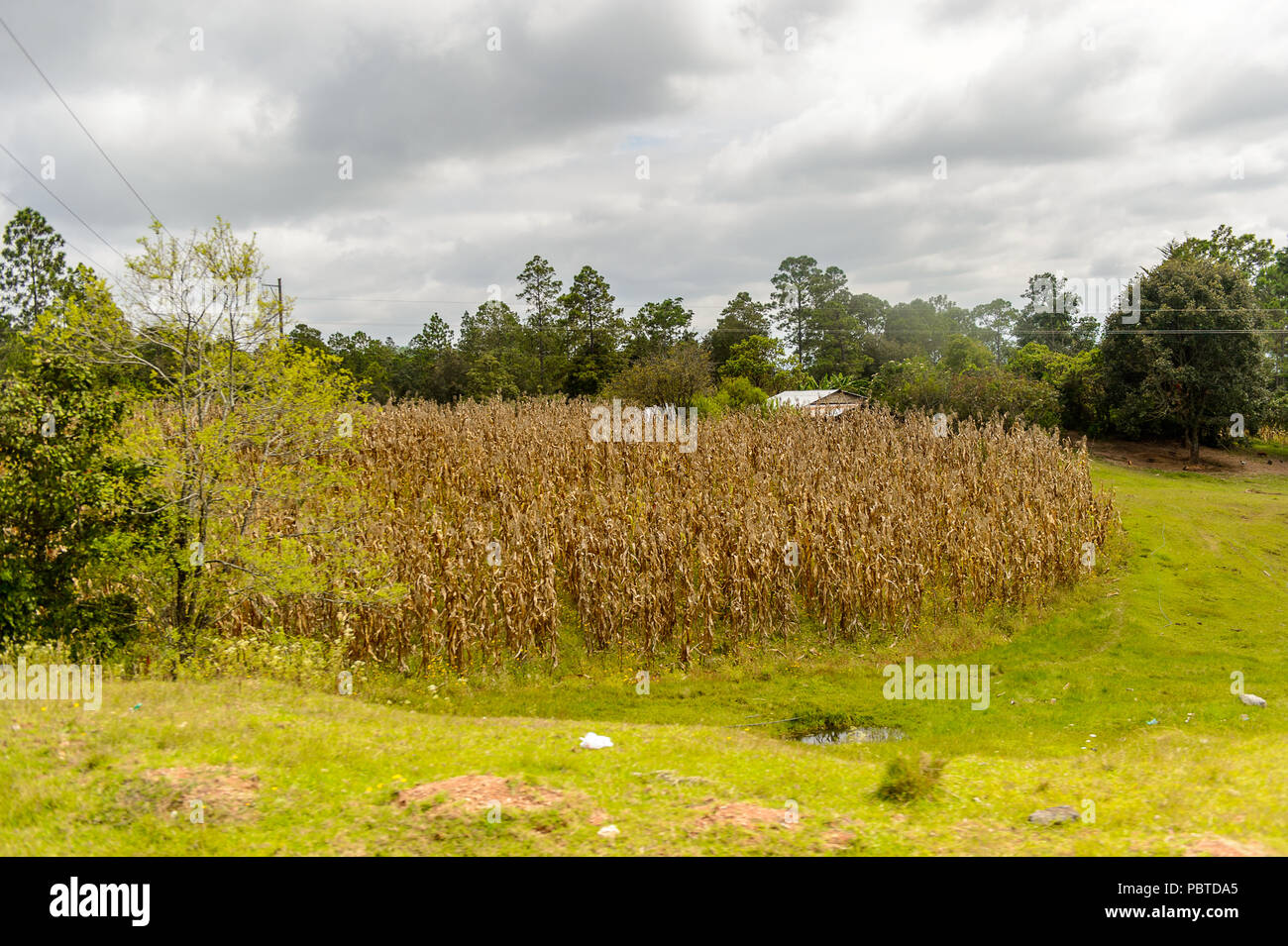 Nature of the state Chiapas, Mexico Stock Photo - Alamy