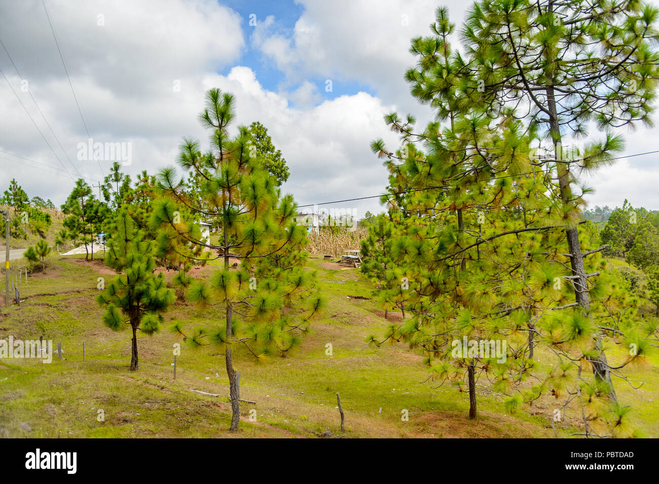 Nature of the state Chiapas, Mexico Stock Photo - Alamy