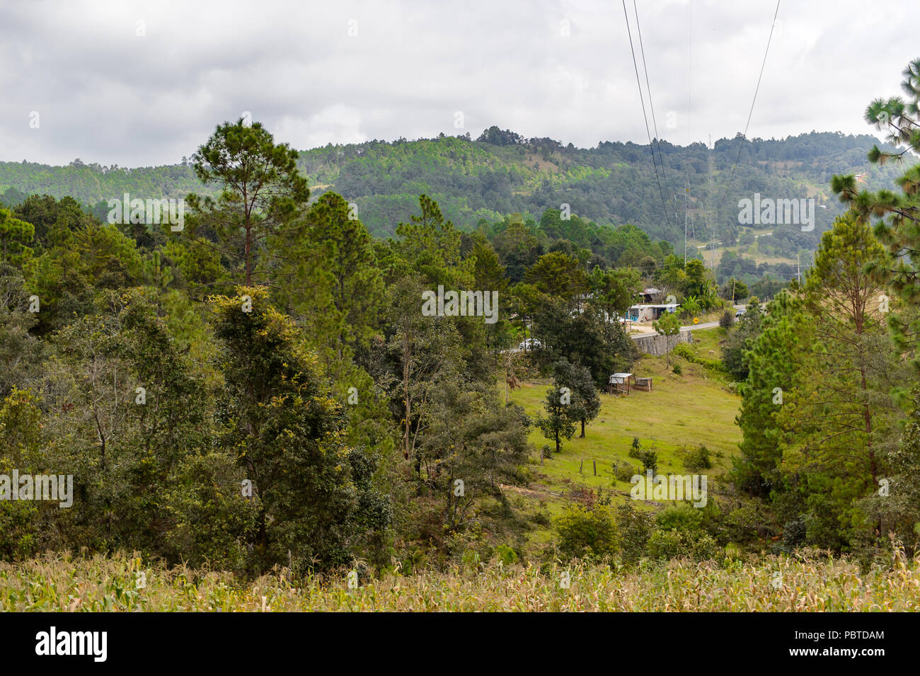Architrecture and nature of the One of the maya villages in Chiapas ...