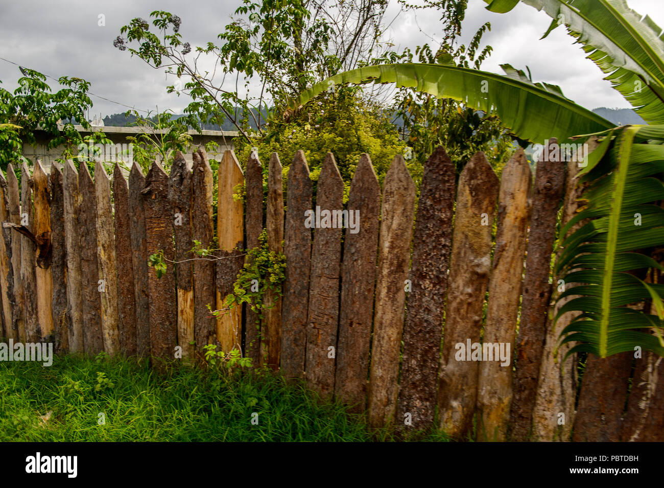 Architrecture and nature of the One of the maya villages in Chiapas ...
