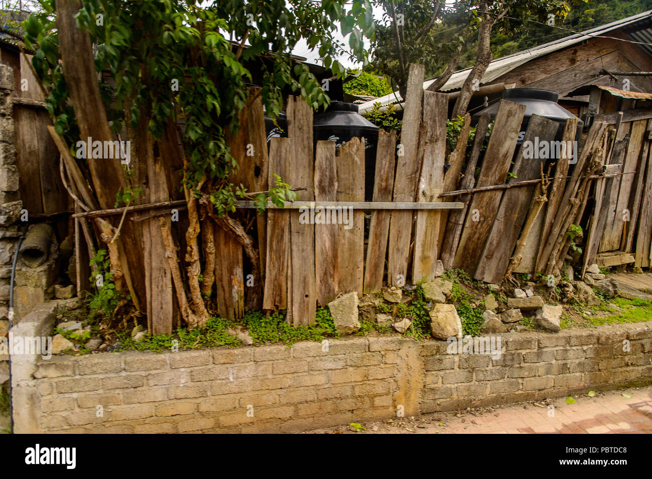 Architrecture and nature of the One of the maya villages in Chiapas ...