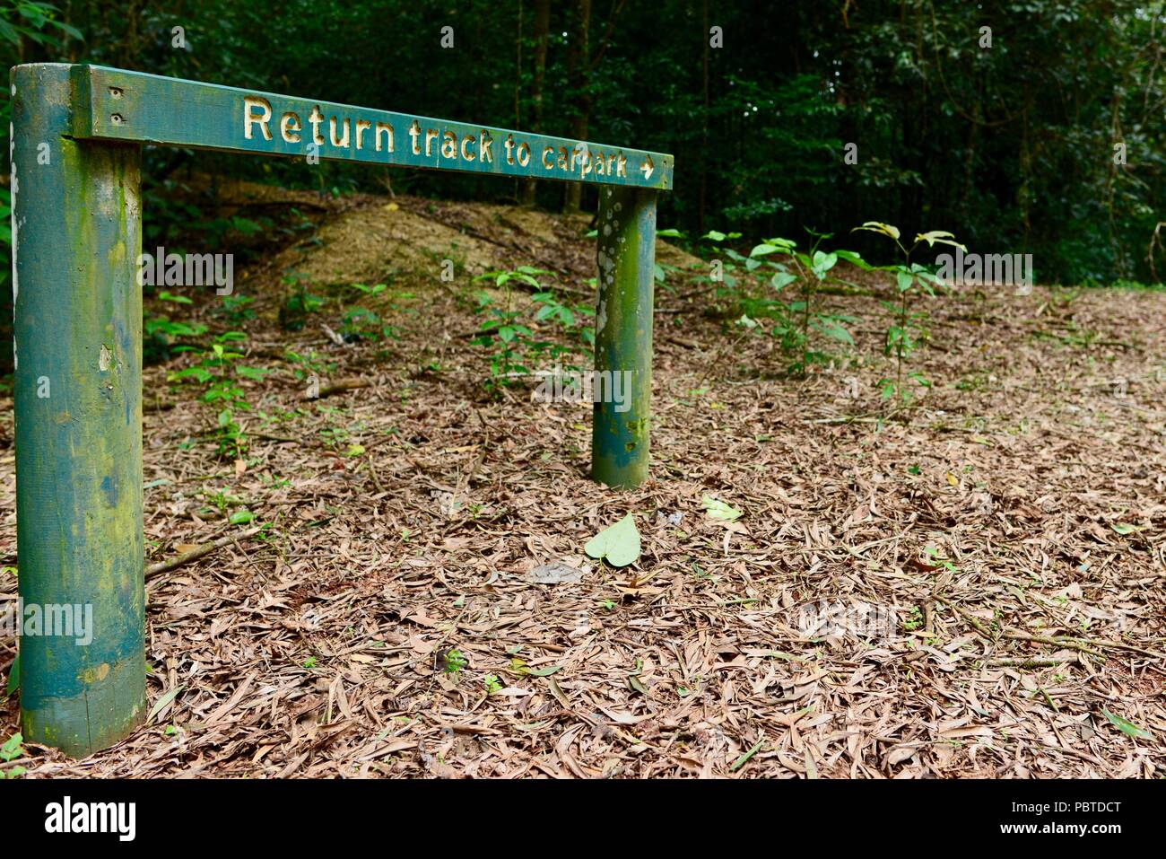 Return track to the car park sign, Kauri Creek walk, Jungal Jungal ...