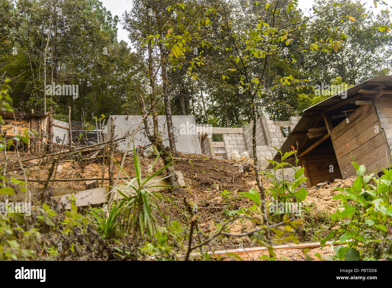 Architrecture and nature of the One of the maya villages in Chiapas ...