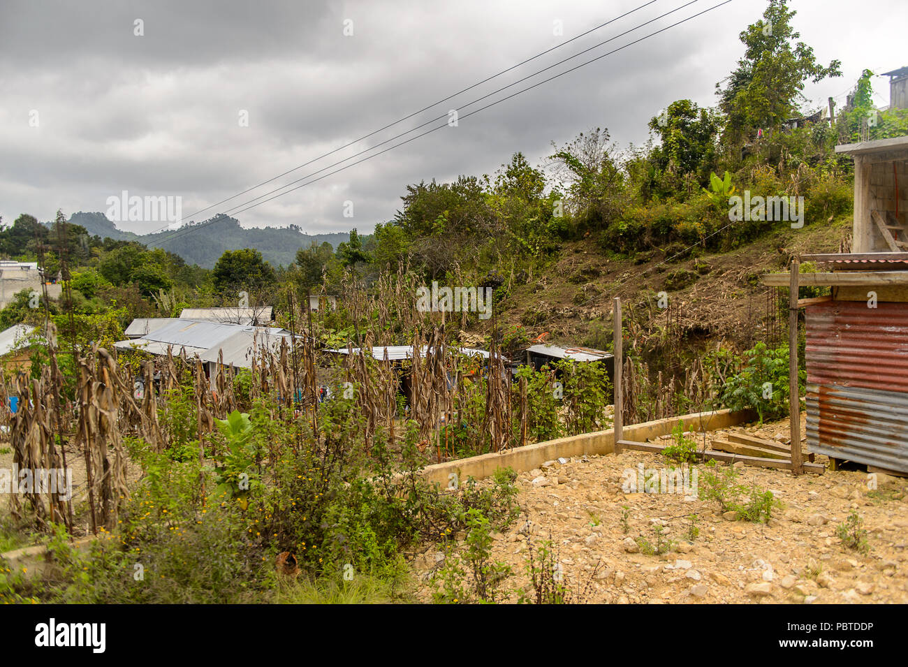 Architrecture and nature of the One of the maya villages in Chiapas ...