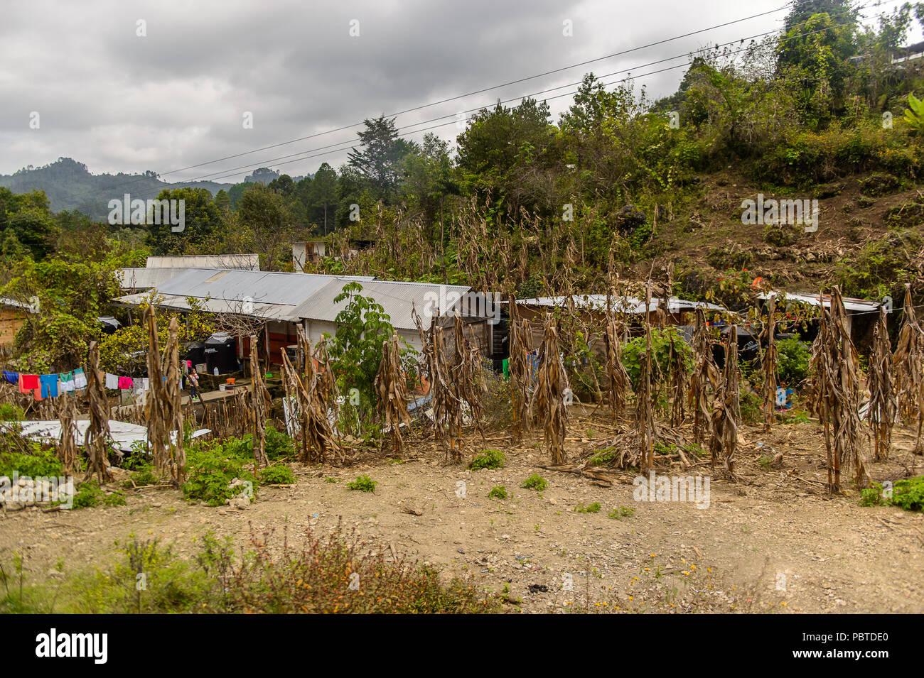 Architrecture and nature of the One of the maya villages in Chiapas ...