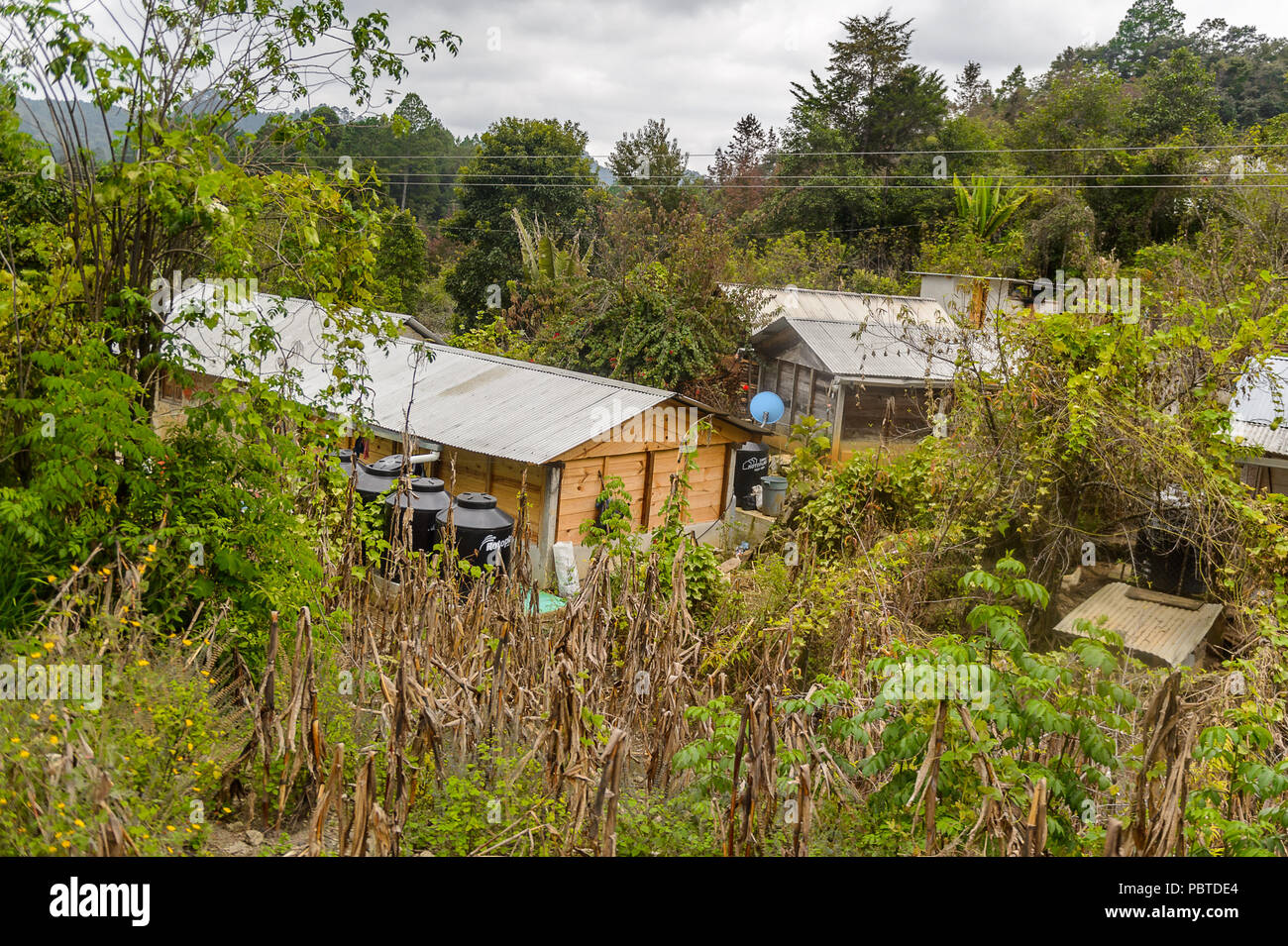 Architrecture and nature of the One of the maya villages in Chiapas ...