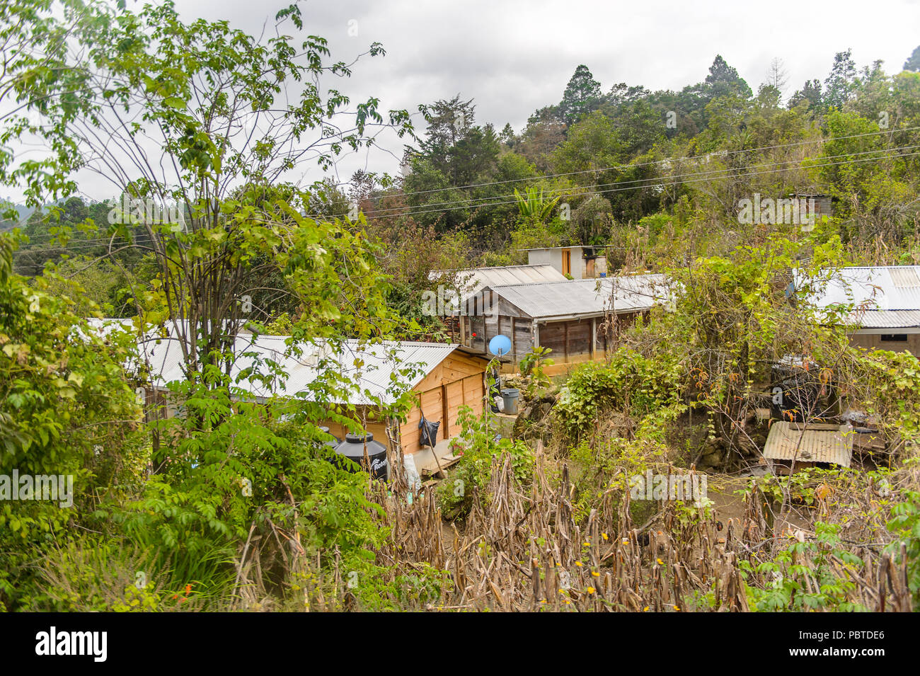 Architrecture and nature of the One of the maya villages in Chiapas ...