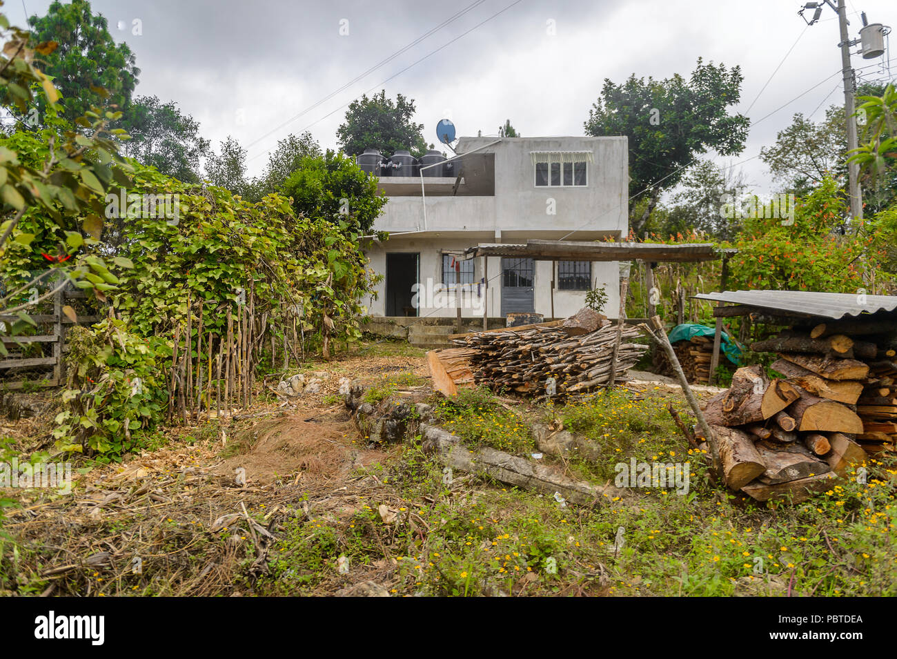 Architrecture and nature of the One of the maya villages in Chiapas ...