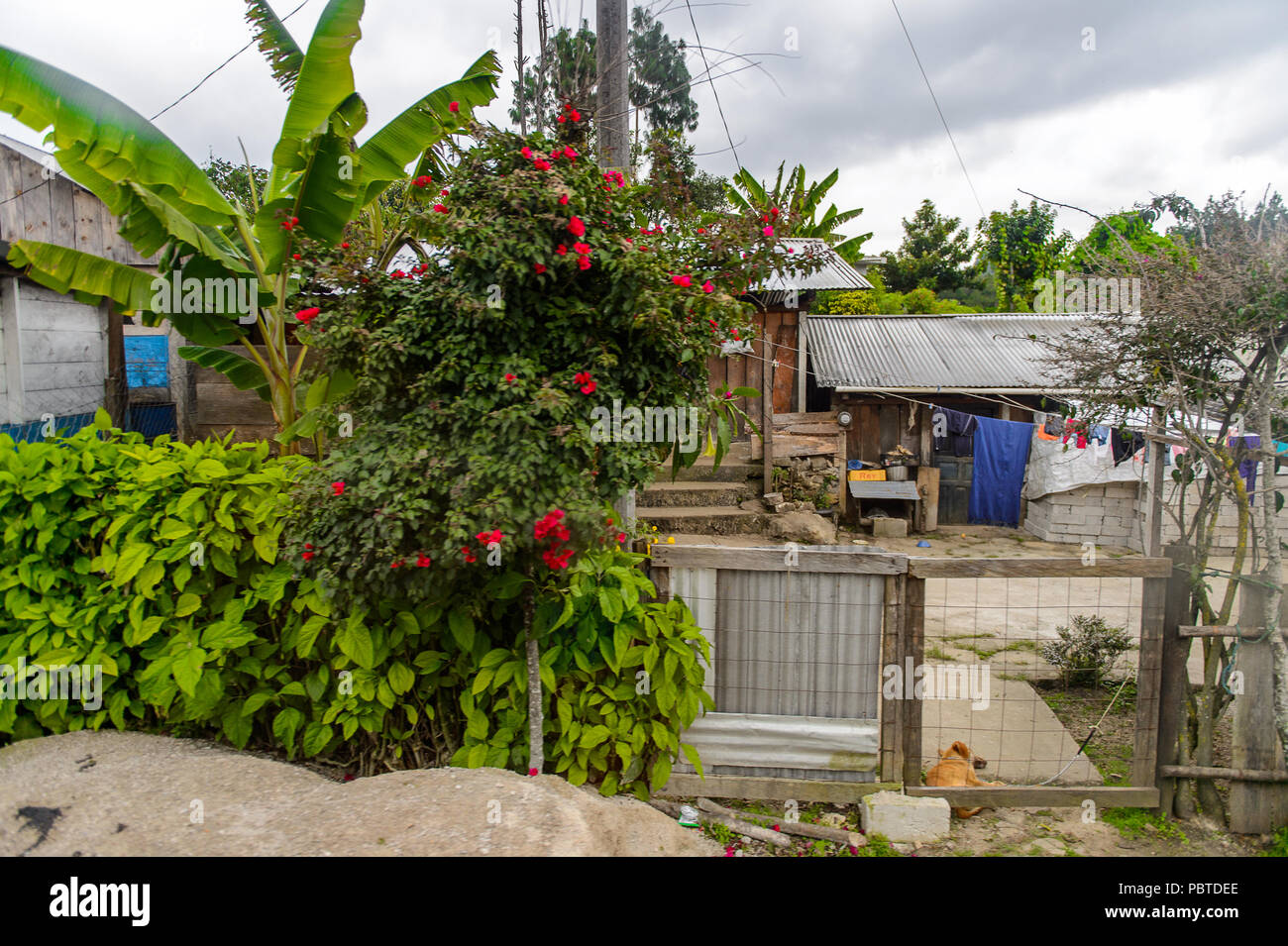 Architrecture and nature of the One of the maya villages in Chiapas ...