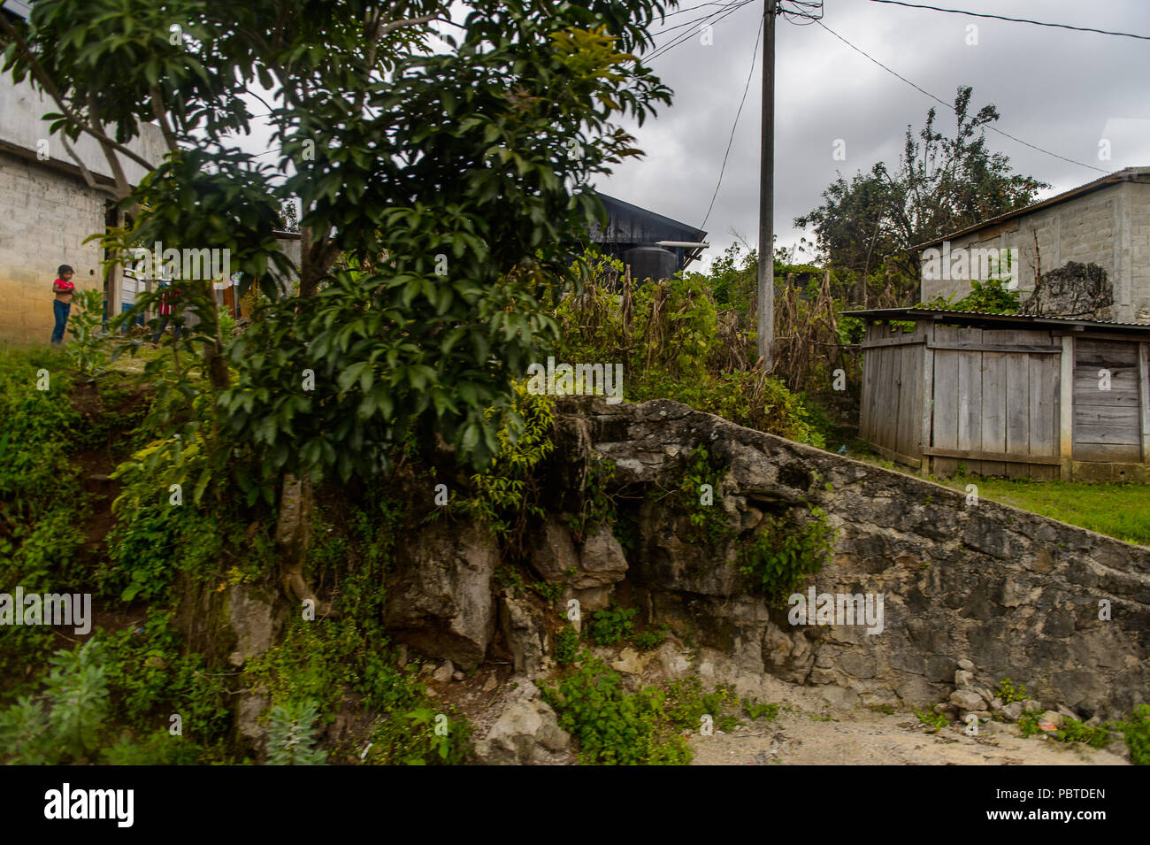 Architrecture and nature of the One of the maya villages in Chiapas ...
