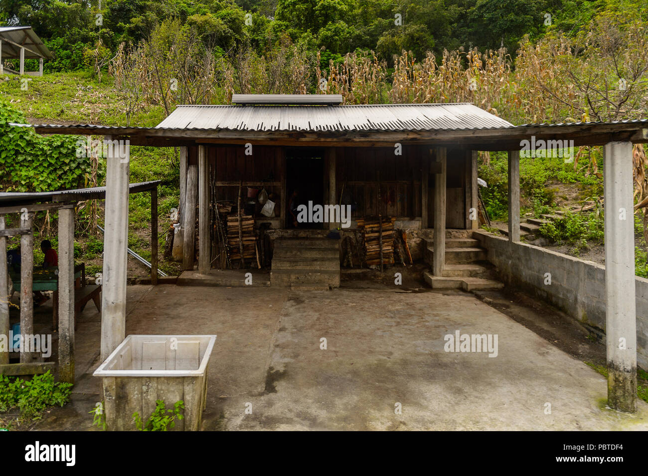 Architrecture and nature of the One of the maya villages in Chiapas ...