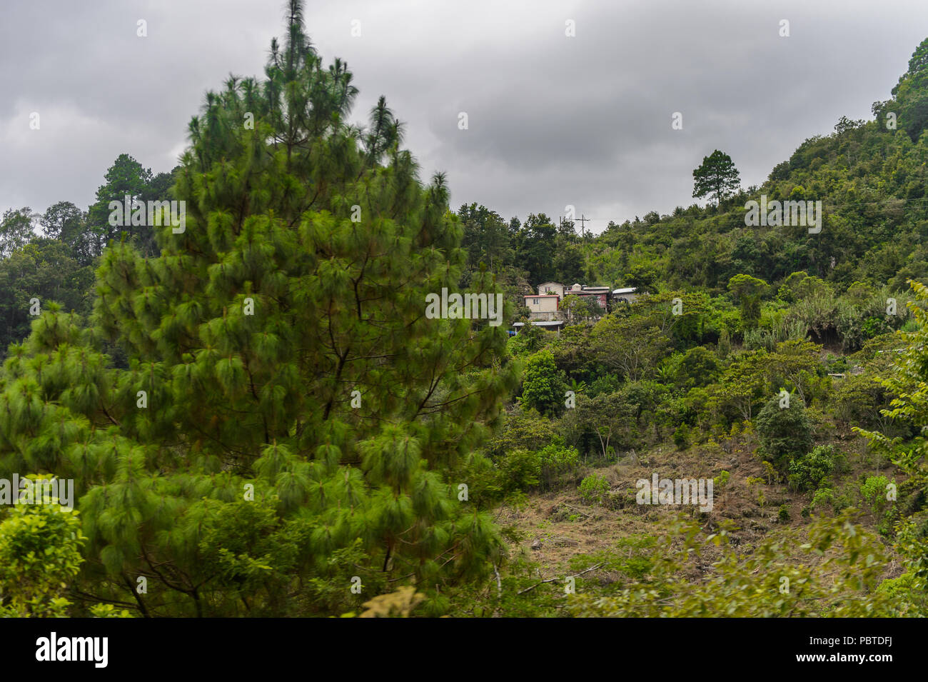 Nature of the state Chiapas, Mexico Stock Photo - Alamy