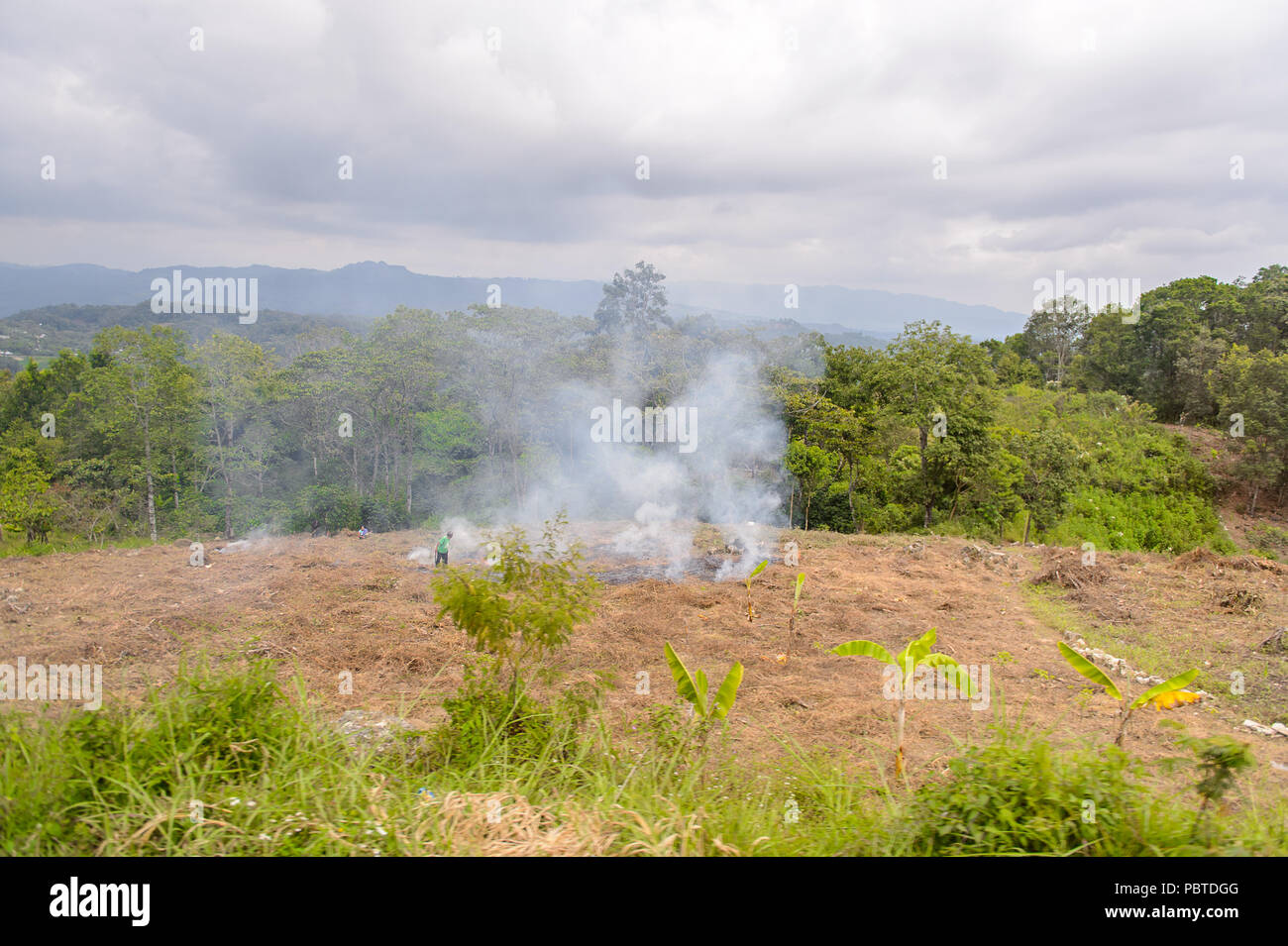 Nature of the state Chiapas, Mexico Stock Photo - Alamy