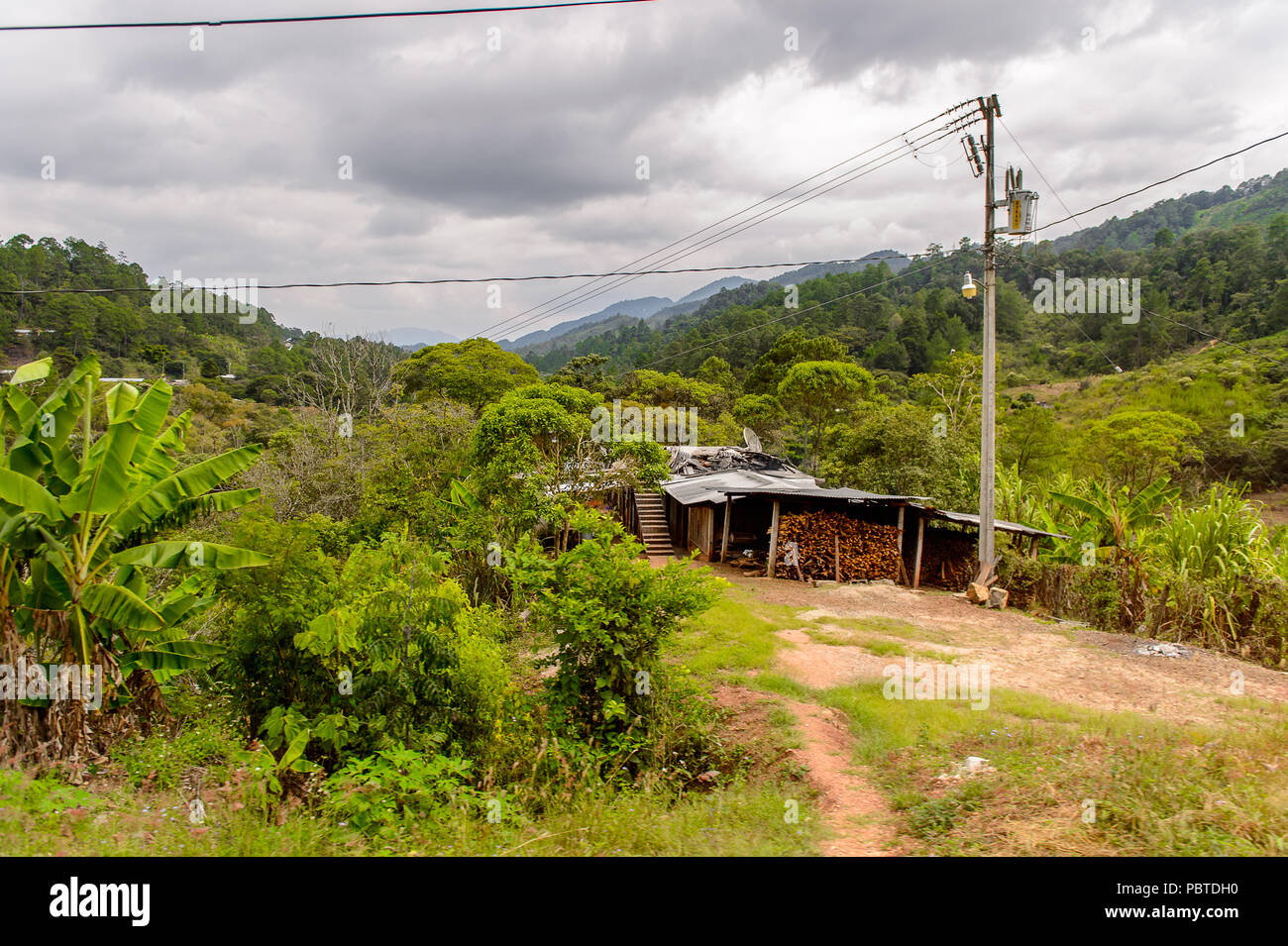 Architrecture and nature of the One of the maya villages in Chiapas ...