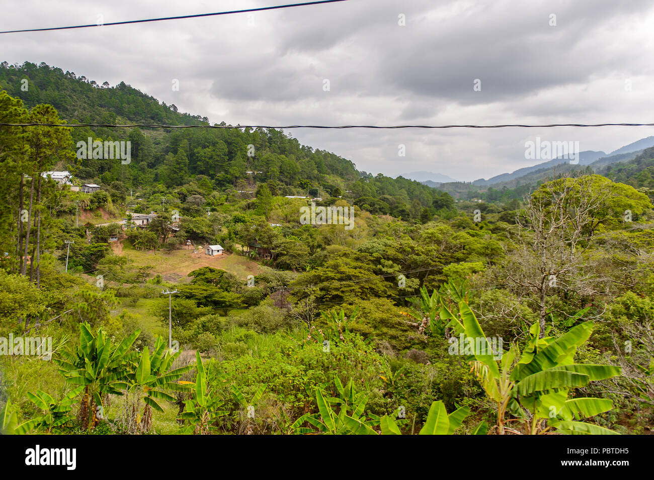 Nature of the state Chiapas, Mexico Stock Photo - Alamy