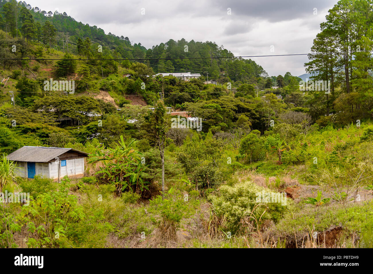 Architrecture and nature of the One of the maya villages in Chiapas ...