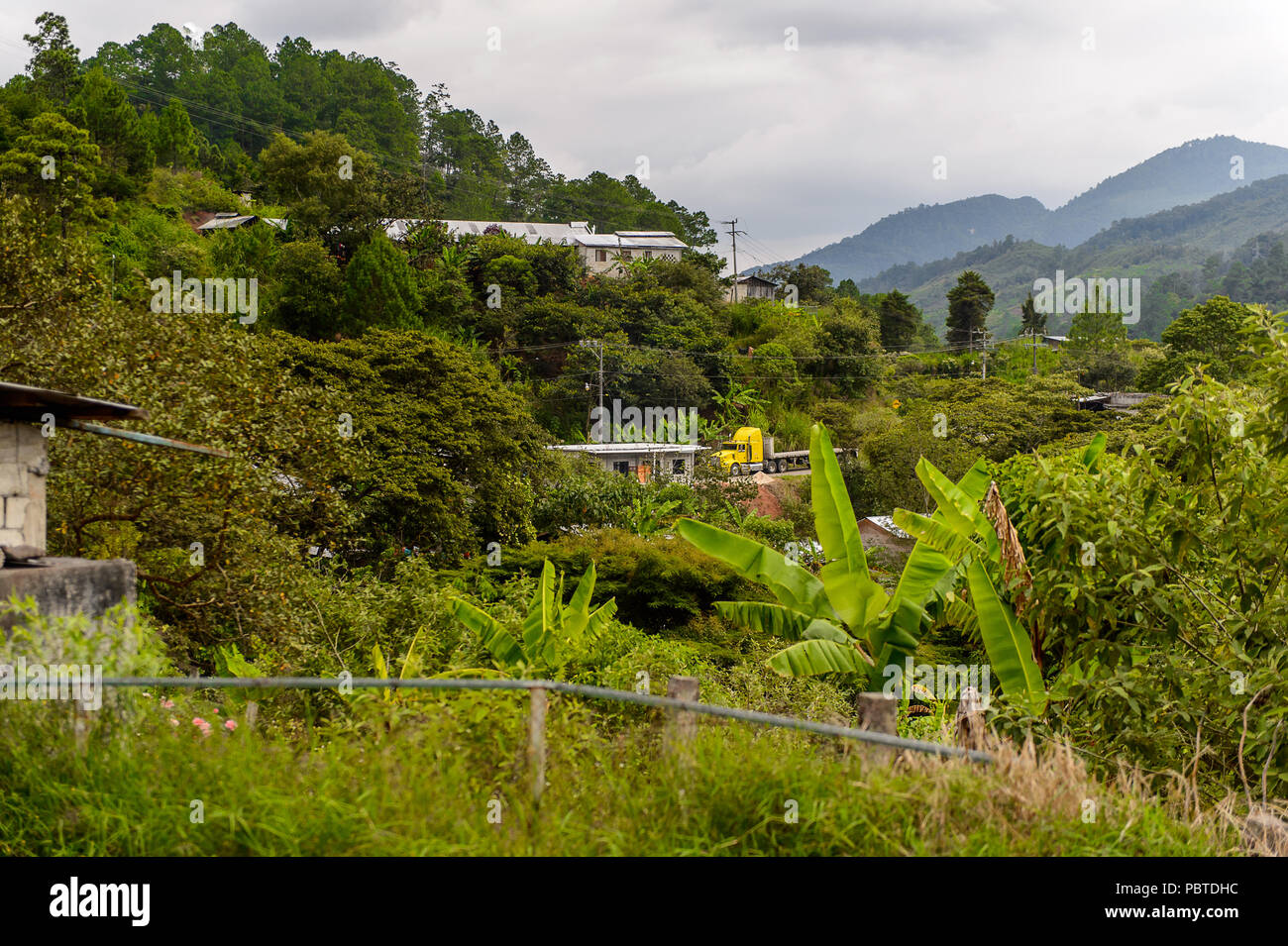 Architrecture and nature of the One of the maya villages in Chiapas ...