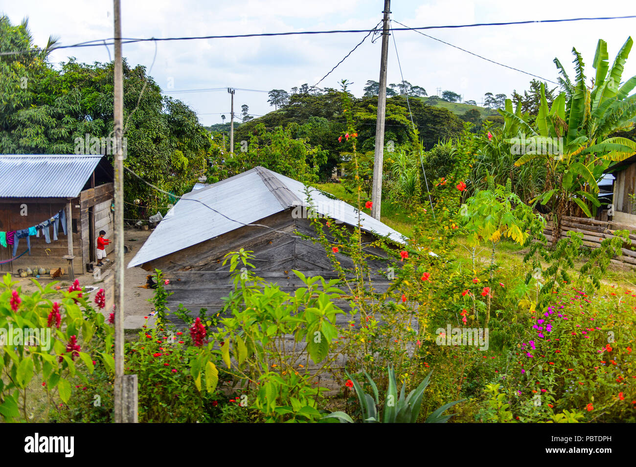 Nature and houses of the one of the maya villages in Chiapas state of ...