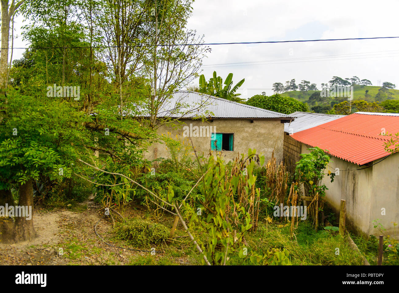 Nature and houses of the one of the maya villages in Chiapas state of ...