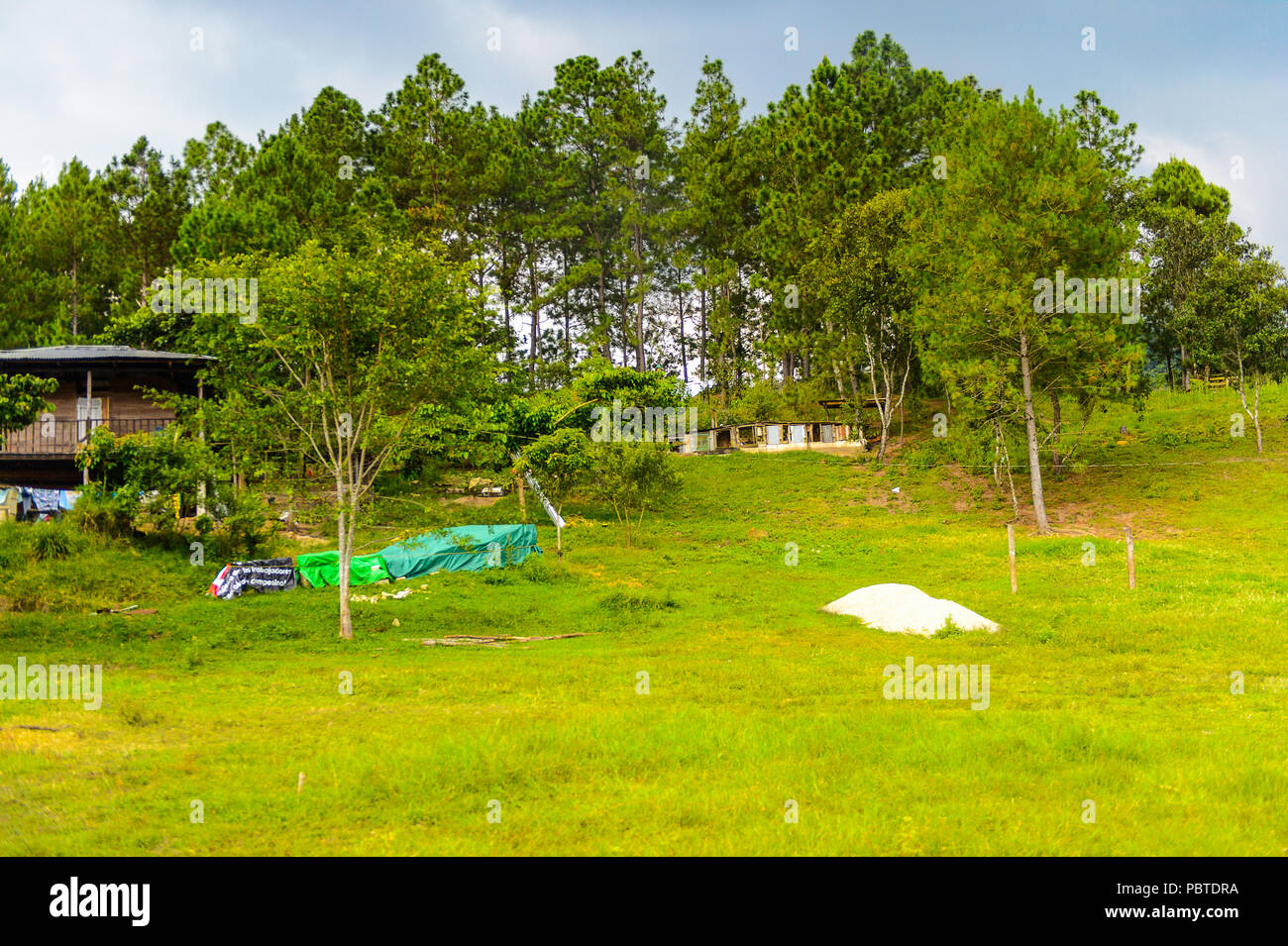 Nature and houses of the one of the maya villages in Chiapas state of ...