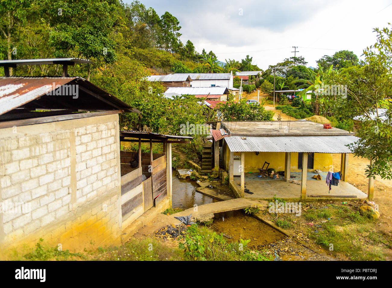 Nature and houses of the one of the maya villages in Chiapas state of ...