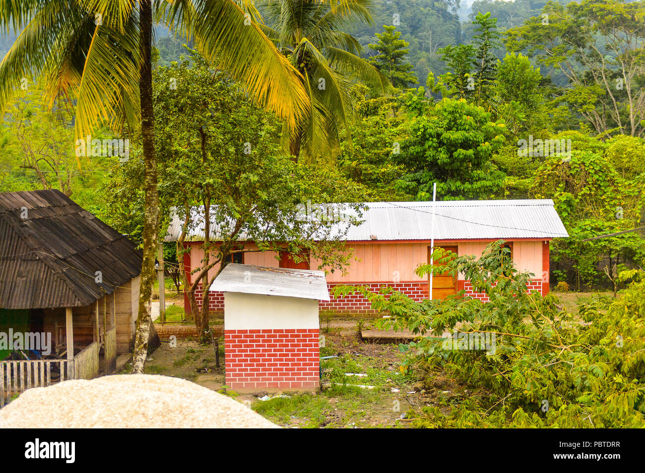 Nature and houses of the one of the maya villages in Chiapas state of ...