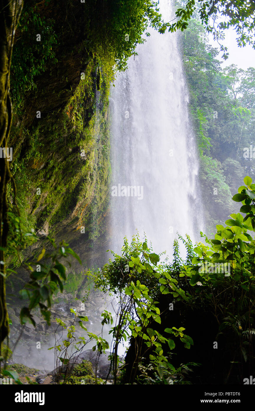 Cascadas De Misol Ha