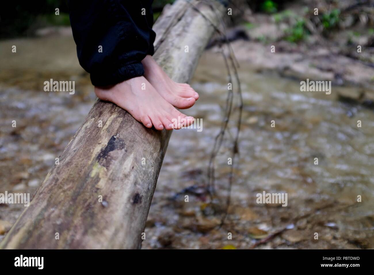 A child's feet on a log over a stream, Kauri Creek walk, Jungal Jungal ...