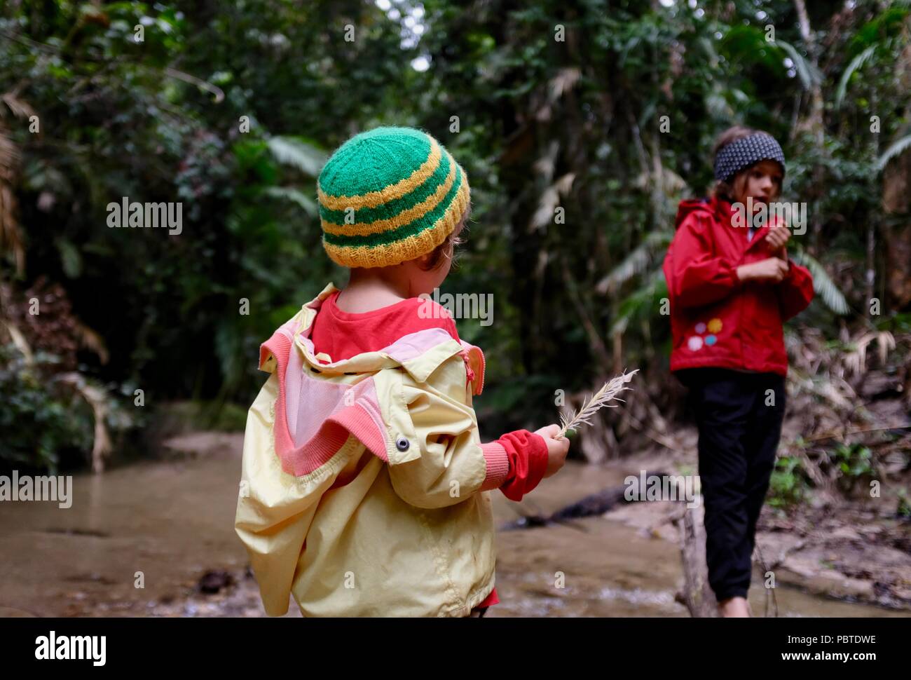 Two children playing near a rainforest stream, Kauri Creek walk, Jungal ...