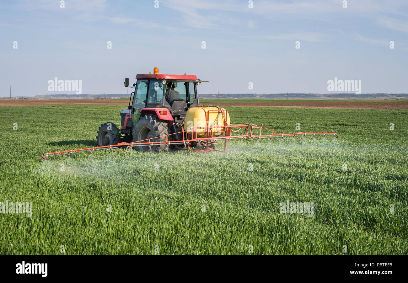 Tractor spraying wheat field with sprayer Stock Photo - Alamy