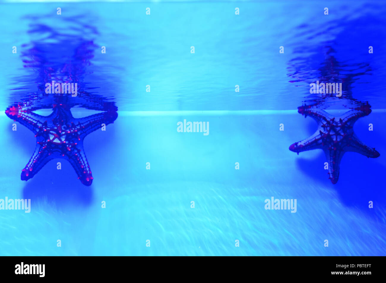 Ruff surface hi-res stock photography and images - Alamy