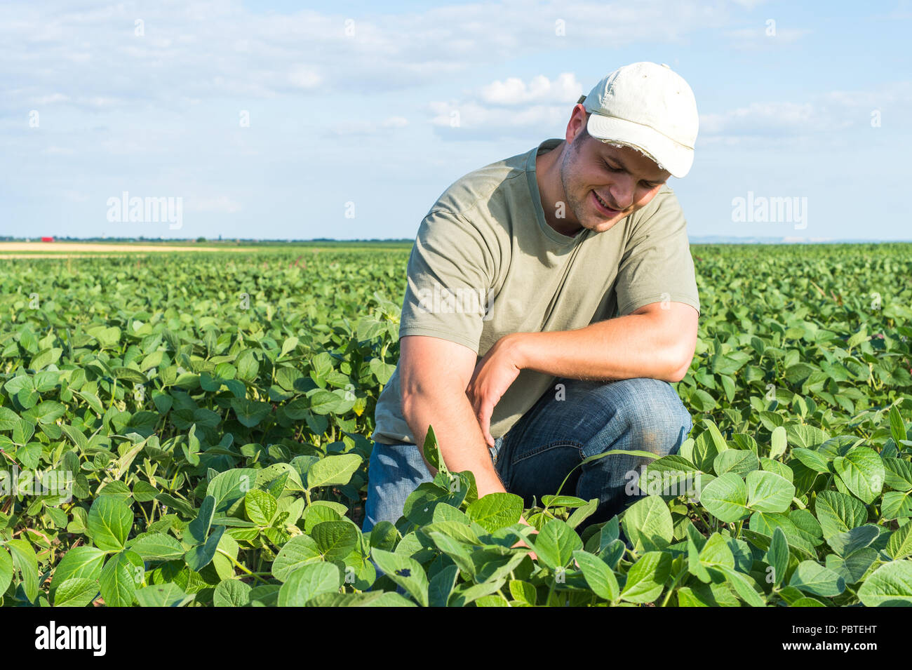 Farmer walking in cultivated soybean hi-res stock photography and ...