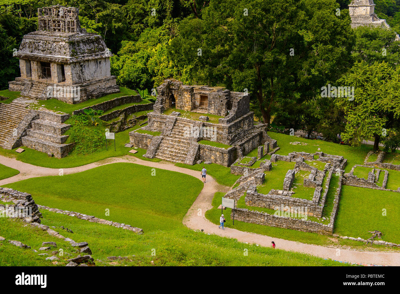 Aerial Panorama of Palenque archaeological site, a pre-Columbian Maya ...
