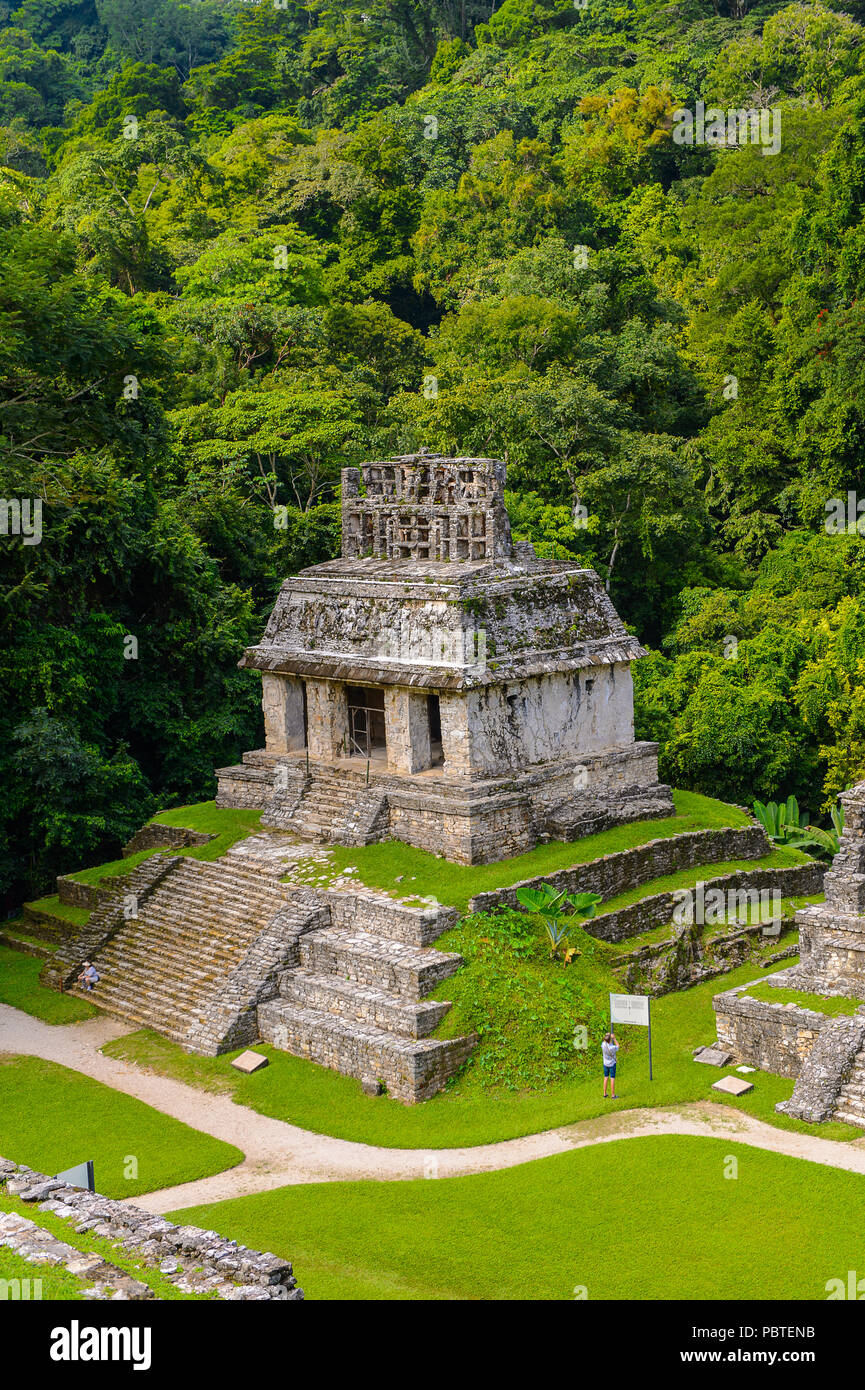 Aerial Panorama of Palenque archaeological site, a pre-Columbian Maya ...