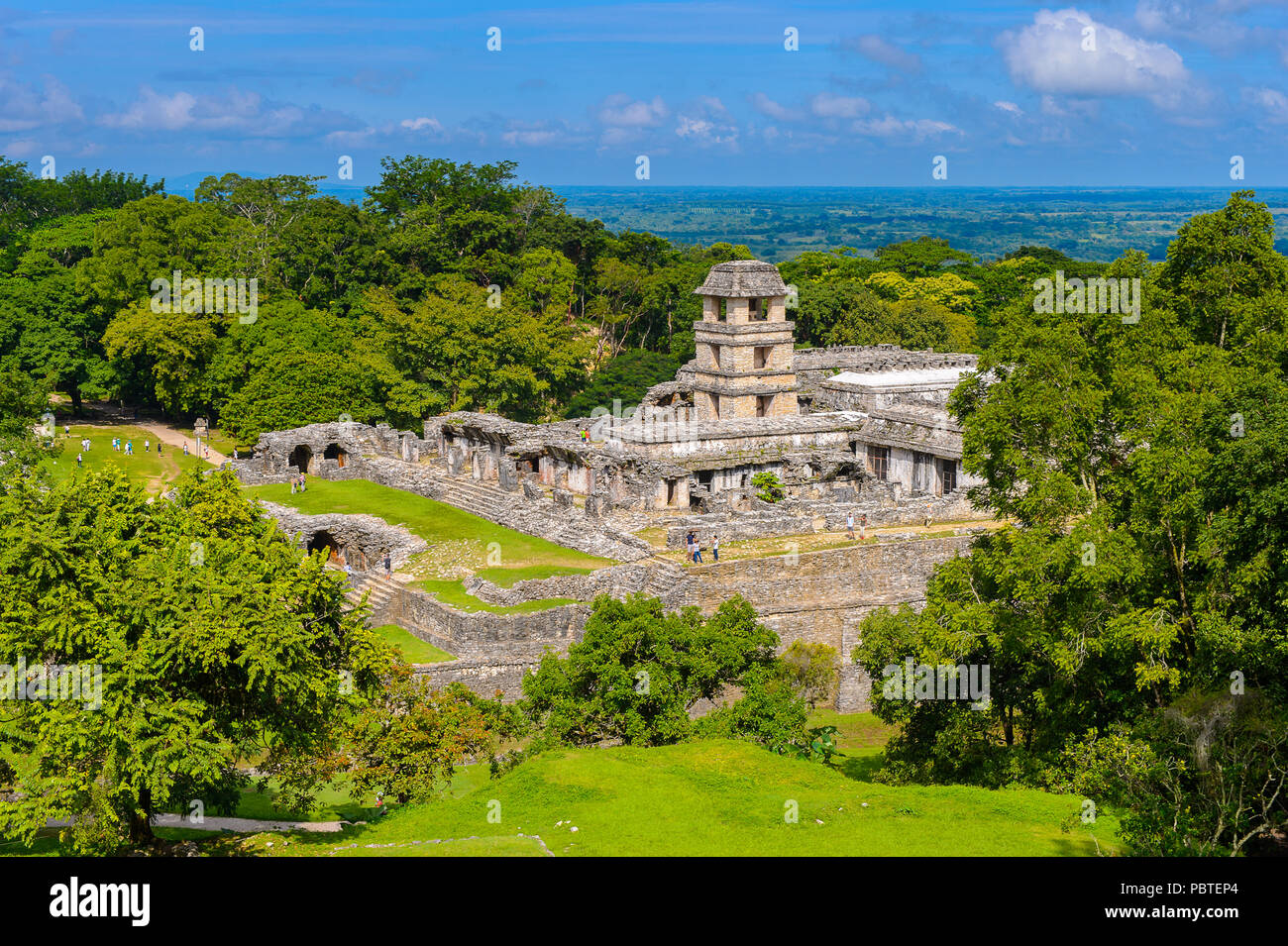 Aerial Panorama of Palenque archaeological site, a pre-Columbian Maya ...