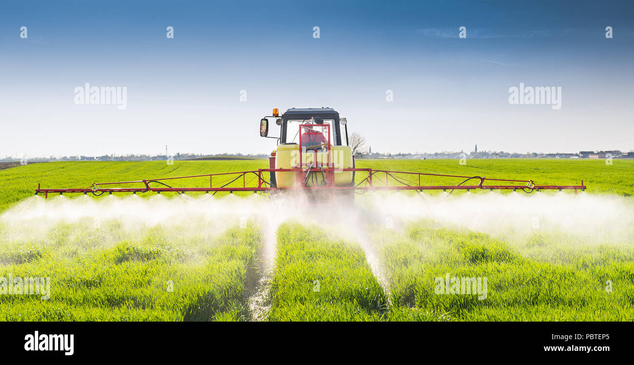 Tractor spraying wheat field with sprayer Stock Photo - Alamy