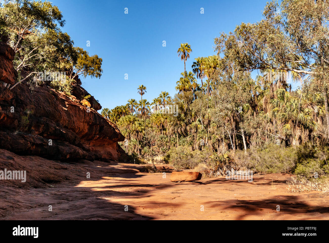 Palm Valley, Finke Gorge National Park in Northern Territory, Australia ...