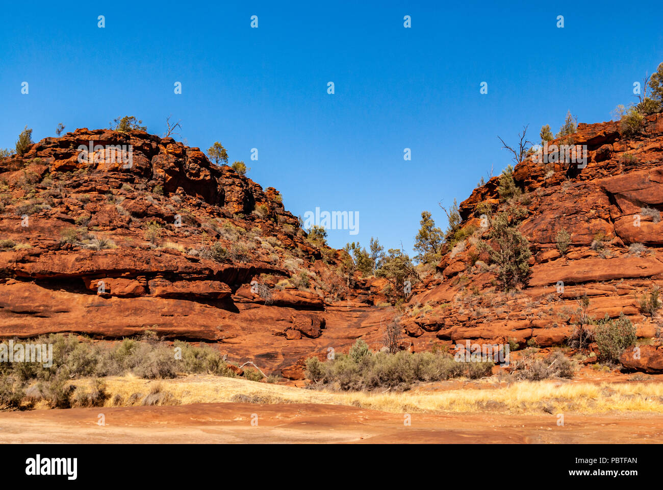 Palm Valley, Finke Gorge National Park in Northern Territory, Australia ...