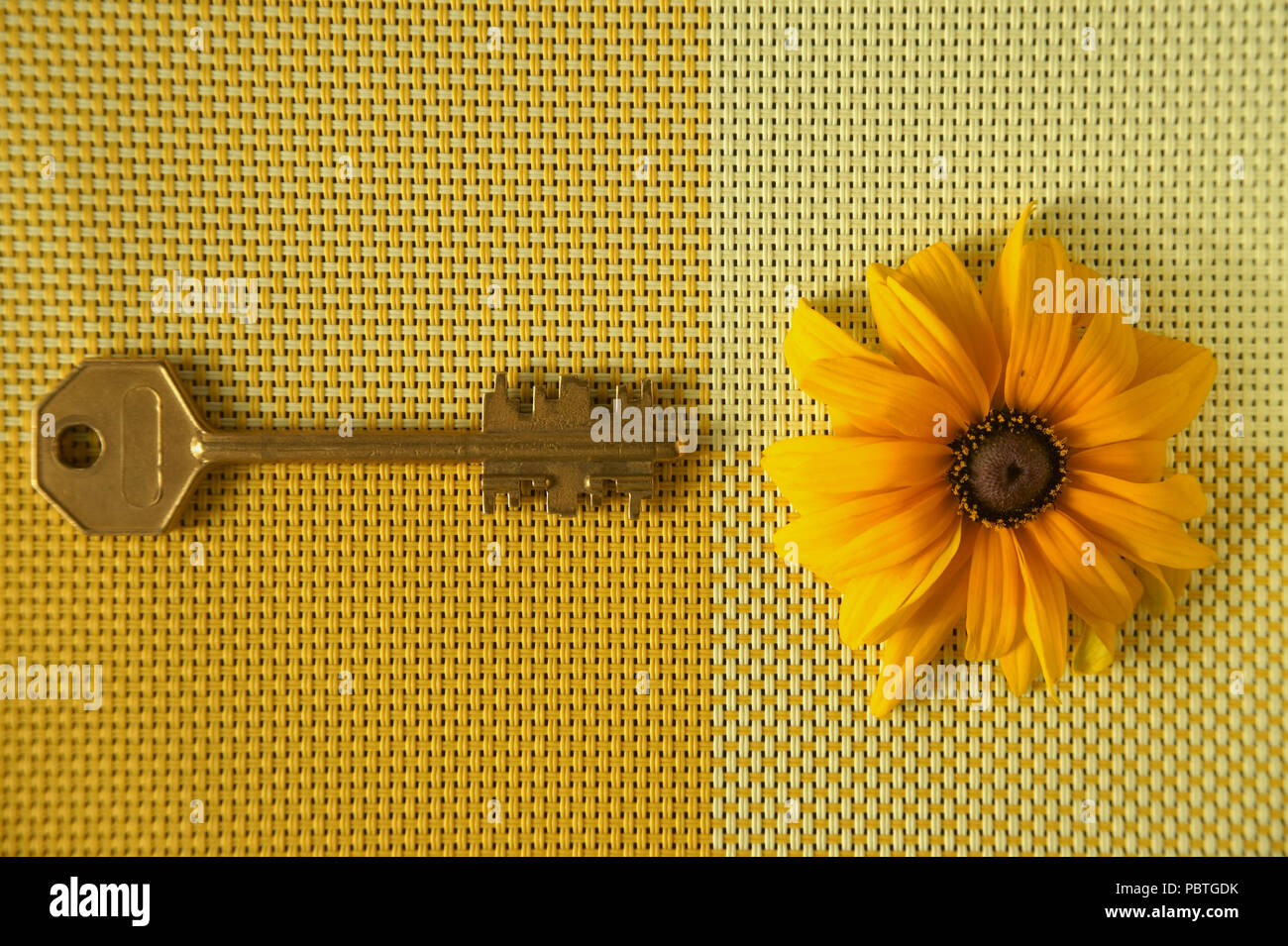 Yellow sunflower and brass key on two toned woven yellow textile placed ...