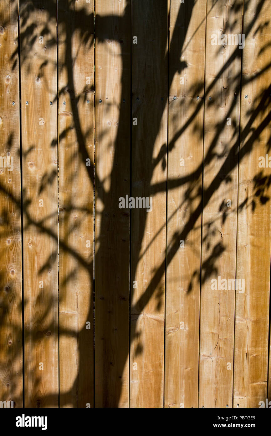 Tree shadow on metal hi-res stock photography and images - Alamy
