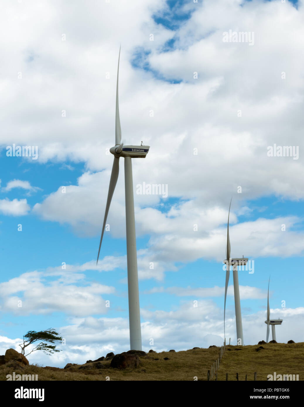 Wind Turbines at Tilaran, Costa Rica Stock Photo - Alamy