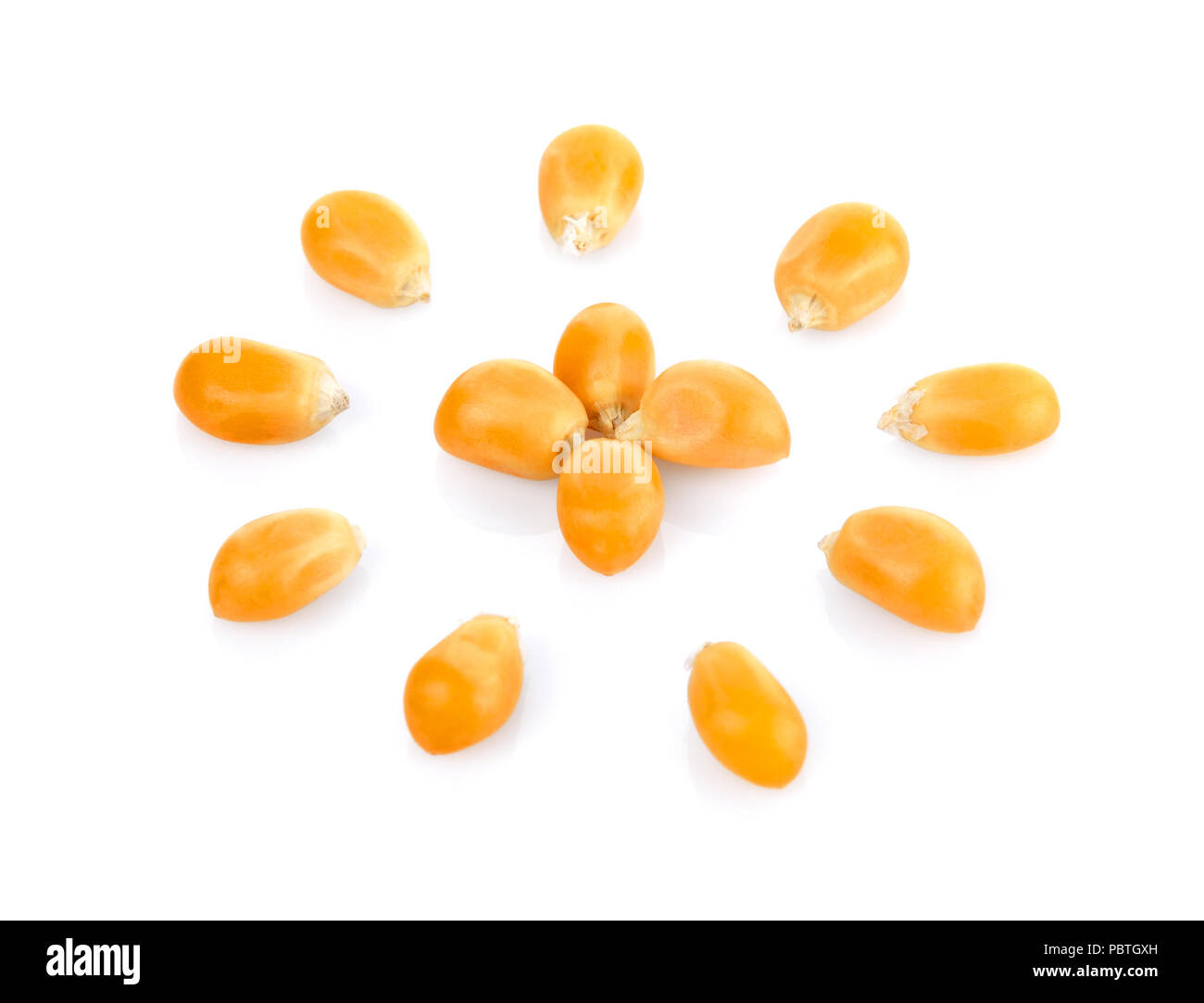 Dried yellow corn kernels on white background Stock Photo - Alamy